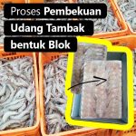 Pembekuan Udang Beku atau Frozen - Cold Supply Chain